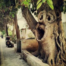 The 10 most scary flowers - Bloomifique