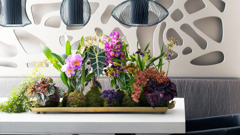The 10 most scary flowers - Bloomifique