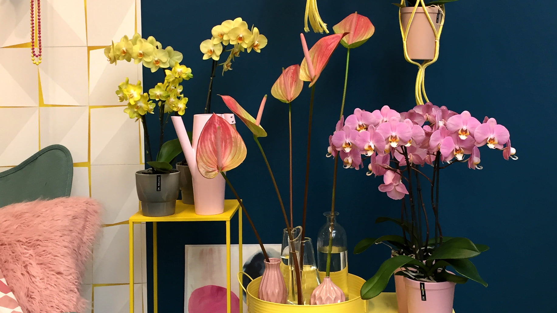 Bring spring into your interior with colour - Bloomifique