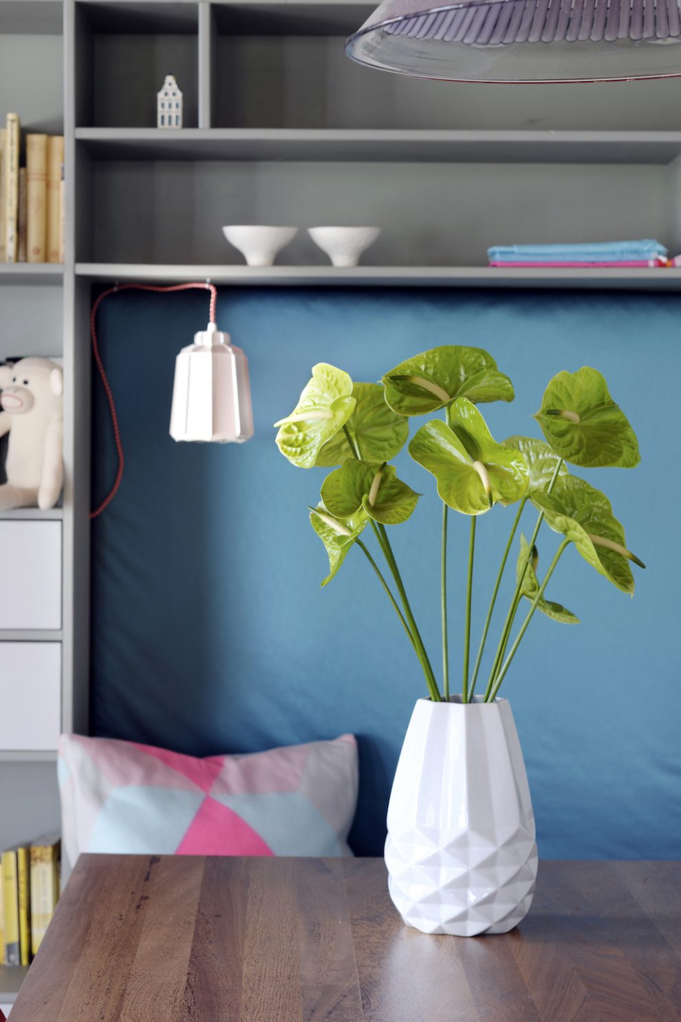 4 styling ideas with the anthurium pot plant & cut flower